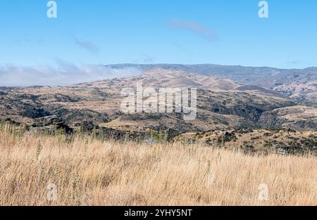 Central Otago new Zealand iconic beautiful landscape rolling hills ...