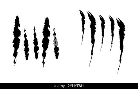 Monster claw marks and scratches, wild beast animal torn cracks, vector ...