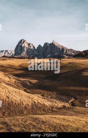 Val Gardena / Gröden, Italy, 20 December 2025. Jared Goldberg (United ...