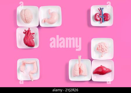 Miniature anatomical copy of a human stomach in hand isolated on white ...