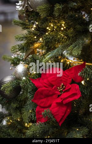 Weihnachtsbaum Geschmückter Tannenbaum in Hamburg, Deutschland ...