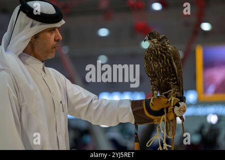 Doha, Qatar on September 13, 2024: A hawk during the eighth edition of ...