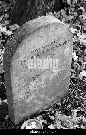 Grave stone of Singer Songwriter Nick Drake, Churchyard of St Mary ...