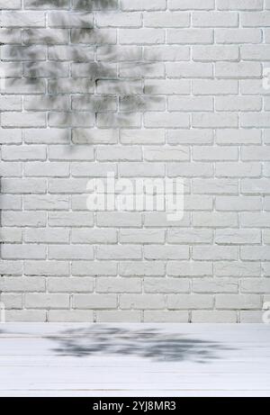 White wall and shade tree Stock Photo - Alamy