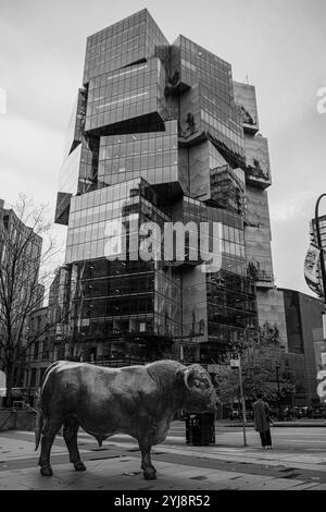bull in front of building in Vancouver city Stock Photo - Alamy