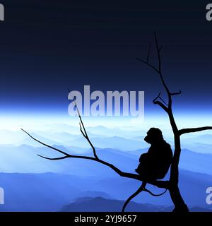 Dawn and monkey Stock Photo - Alamy
