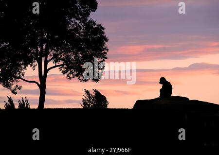 Dawn and monkey Stock Photo - Alamy