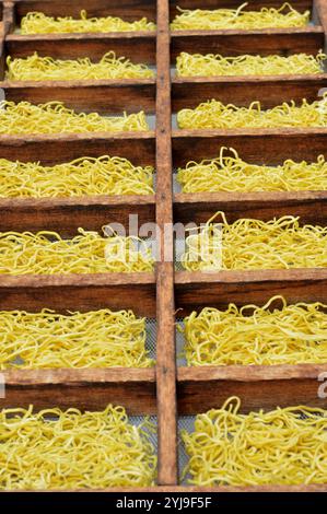 the process of drying yellow noodles in a wooden box Stock Photo - Alamy