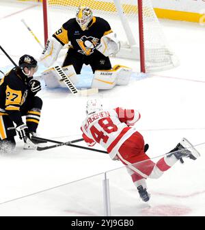 Detroit Red Wings right wing Filip Zadina plays during the third period ...
