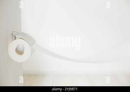 Toilet space and fluttering toilet paper Stock Photo - Alamy