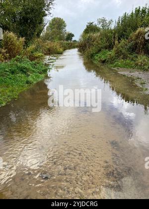 People run from heavy rainfall in Istanbul, Turkey on October 19, 2020 ...