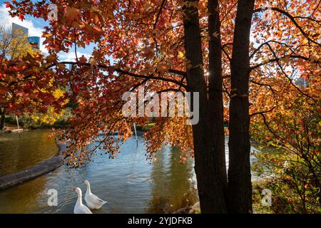 Colors of Autumn in Atasehir district of Istanbul, Turkey Stock Photo ...