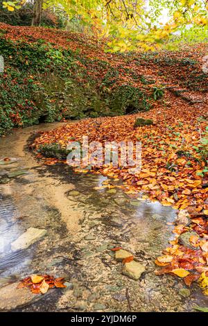 Seven Springs - source of the River Churn (longest tributary of the ...