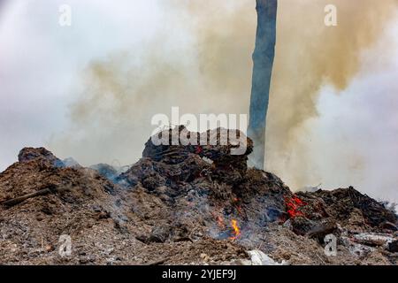 The remains of a huge fire and what looks like a dead, burnt tree ...
