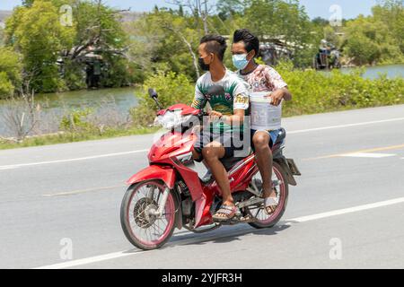 Thai man people carry hold hug domestic ginger young cats indoor at ...