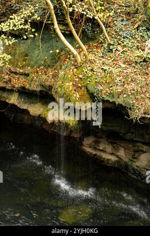 Rocks covered by the moss in autumn on a stream with the rapids, Zeleni vir, Croatia Stock Photo ...