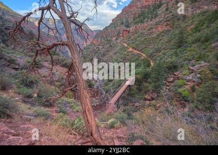 Red Wall Bridge at North Rim AZ Stock Photo - Alamy