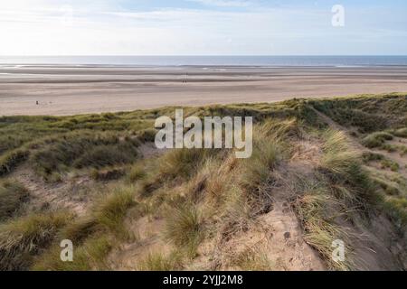 Sand dunes at Formby on the coats of Merseyside in Northwest England ...
