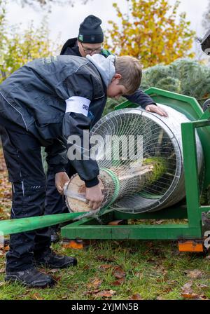 Mittelsinn, Germany. 15th Nov, 2024. Numerous Christmas trees can be ...