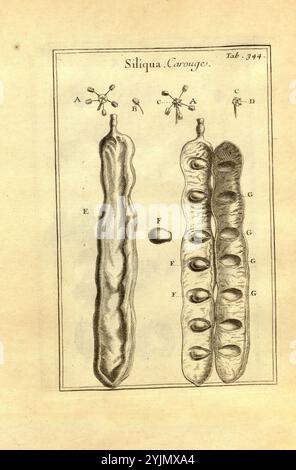 Detailed view of the scientific pod on the Atlas 25E missile ...