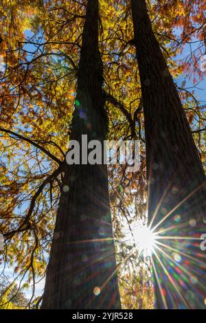 spring grove cemetery cincinnati ohio Stock Photo - Alamy