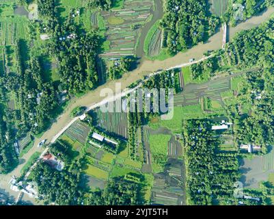 Farmers in low laying areas in Bangladesh choose floating farming ...