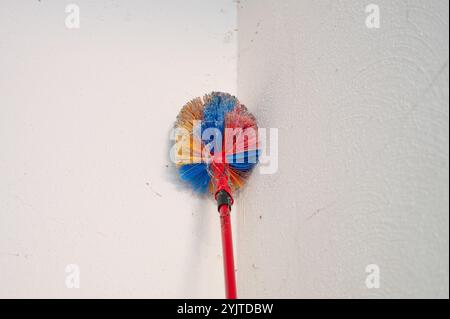 Remove cobwebs with a spider sweeper from the wall corner, cleaning at ...