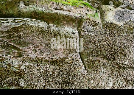 Sandstone, marl, limestone and dolomite rock formation at the ...