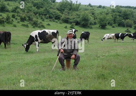 May 21,2005 Bulgarian catleman former with his catles(cows) still man ...
