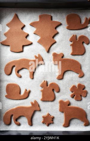Animal shapes cut out from raw pastry dough - preparation of homemade ...