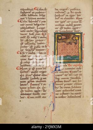 Birds of prey flying above illuminated gothic like building (composite ...