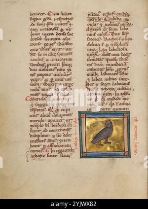 An Eagle; Bestiary, about 1270 Stock Photo - Alamy