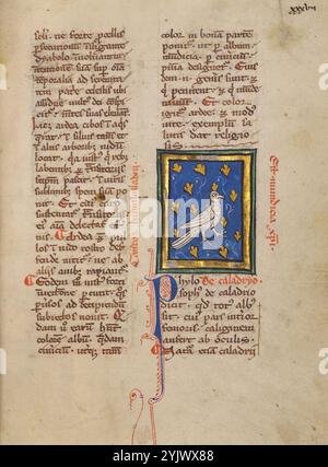 Caladrius Birds. Unknown Stock Photo - Alamy