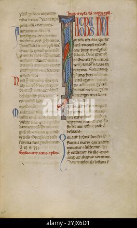 Decorated Initial P; New Testament, late 12th century Stock Photo - Alamy