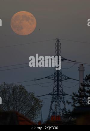 London, UK. 15 Nov 2024. WATER - Restore Nature Now. Campaigners from ...