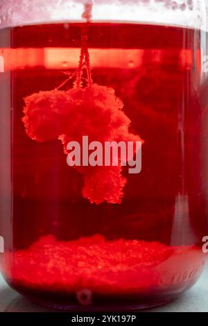 a school chemistry lesson homework assignment - growing salt or sodium ...