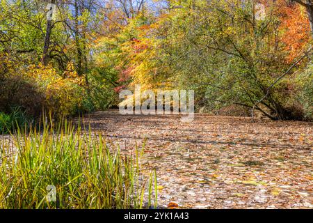 Fall foliage Delaware County United States - colorful landscape of ...