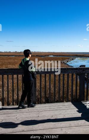 Marsh Board Walk viewing platform at Point Pelee National Park in ...