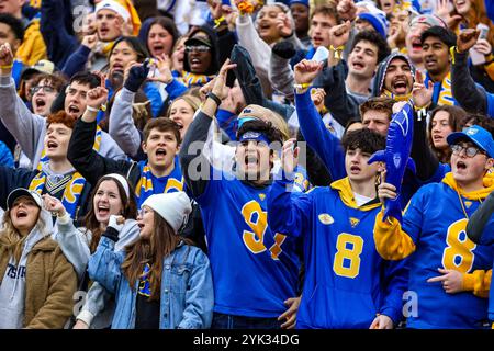 Pittsburgh, Pennsylvania, USA. 16th Nov, 2024. Pitt Panthers head coach ...