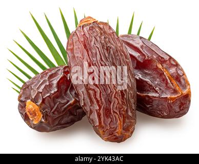 Three semi-dried dates or date palm fruits and palm leaves behind ...