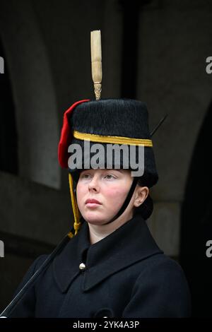 Female Horse Guard, The Kings Troop, Mounted Sentry, Royal Horse ...