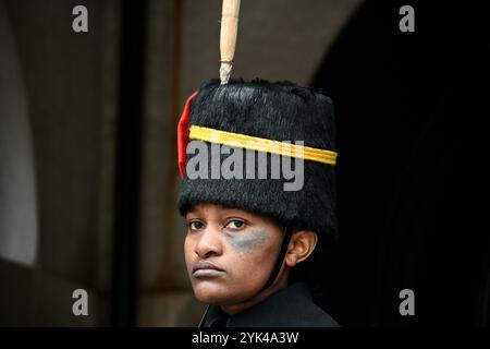 Ethnic Female Horse Guard, The Kings Troop, Mounted Sentry, Royal Horse ...