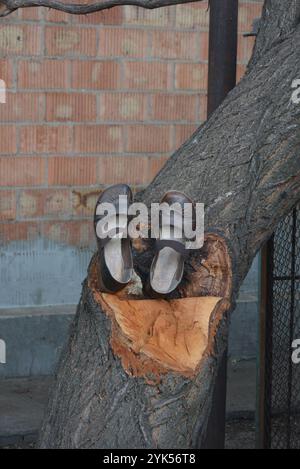 women's black leather shoes stand on a tile. Collection of autumn women ...