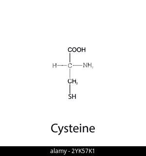 The amino acid Cysteine. Chemical molecular formula Cysteine amino acid ...
