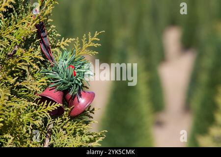 Jingle bells. family holiday. New Year party. children in red santa hat ...