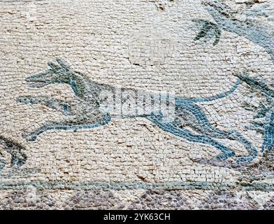 A hunting scene mosaic showing a hunting dog in the House of Dionysus ...