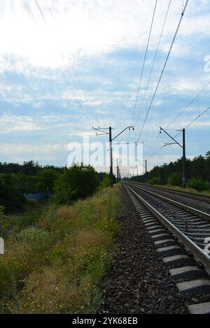 Metal wide flights along the entire field with trees. Ukrainian railway ...