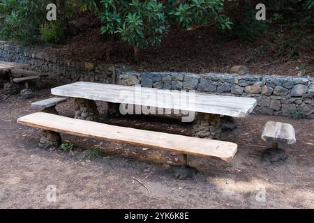 bench wooden pic nic table sandy beach view in summer day on Cap Ferret ...