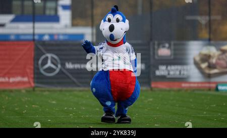 Maskottchen Dino Hermann GER, Hamburger SV vs. Hannover 96, Fussball, 2 ...
