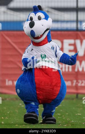 Maskottchen Dino Hermann GER, Hamburger SV vs. Hannover 96, Fussball, 2 ...